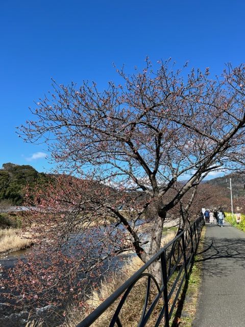 (3) まぁ～いっか de JL1MWY